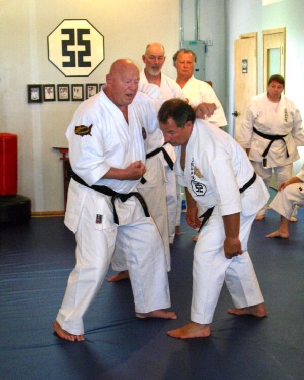 Sensei – Okinawa Village Karate Association